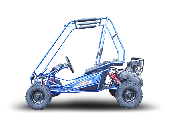 Trailmaster Mini XRS+ Children's Go-Kart Buggy, 4-Stroke 163cc – BDX ...