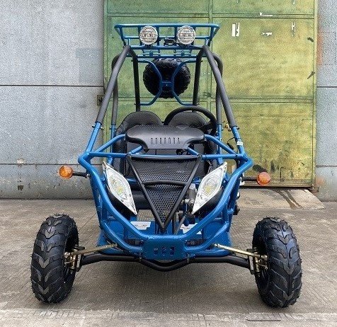 Dongfang DF200GVA Falcon Jr. Children's Go-Kart Buggy, 4-Stroke 196cc ...